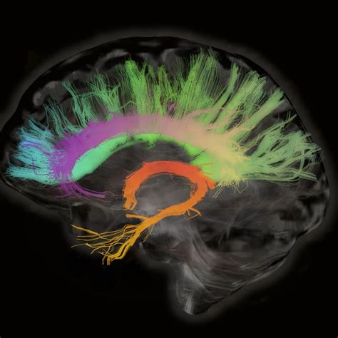 Brian Carter Youtube