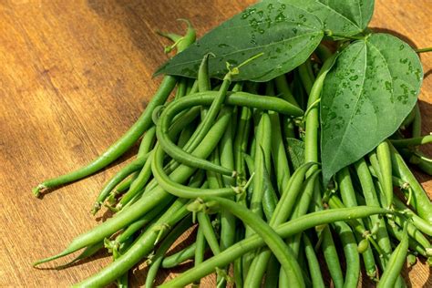 Are Green Beans And String Beans The Same Morningcom