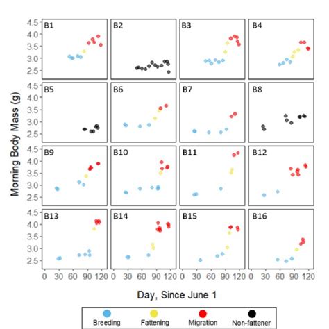 Morning Body Masses Following Focal Observation Nights For Each