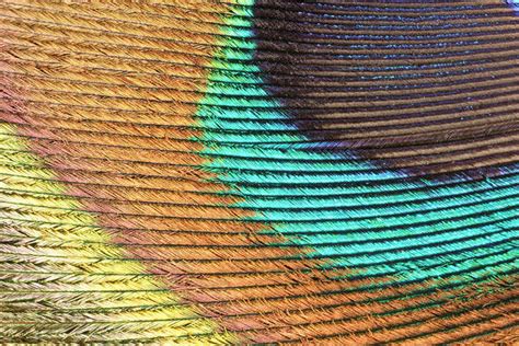 Diffraction Art Fine Art America