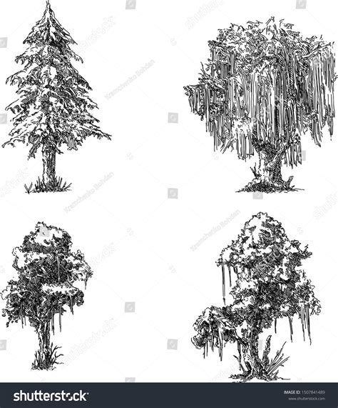 Linear Vector Illustration Trees Set Stock Vector Royalty Free Shutterstock