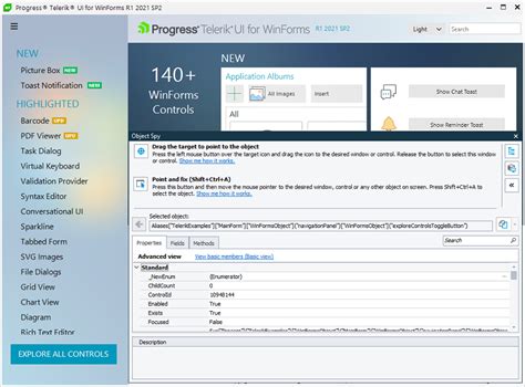 write a test script testcomplete telerik ui for winforms