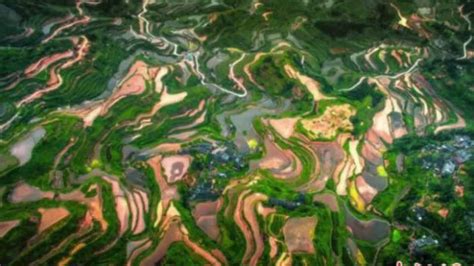 តំបន់ដីសើមរបស់ប្រទេសចិនជាប់ចំណាត់ថ្នាក់លេខមួយនៅអាស៊ី 柬埔寨头条