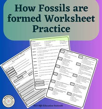 How Fossils Are Formed Worksheet Practice By MJS Education TPT