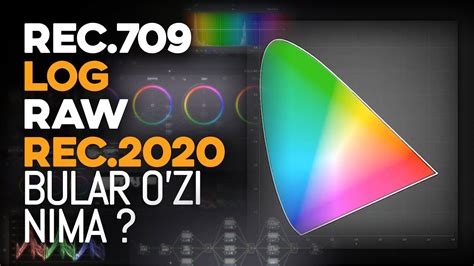 rec709 log raw rec2020 p3 bular o zi nima color space haqida