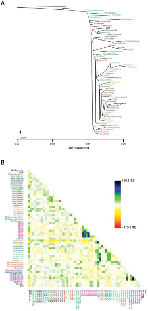 Figure S ï¿¿ Maximum Likelihood Tree Of Namerican Groups Using