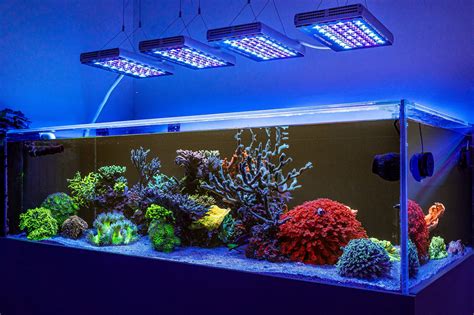 Natura Icon Reef Aquarium Led Lighting Orphek