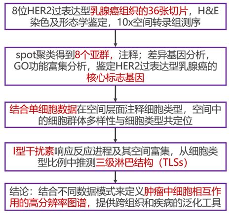 科研盘点 单细胞 空间转录组联合在乳腺癌研究中的应用 知乎