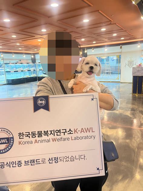 말티즈 레오 샴분양가격 셀커크렉스분양가격 스코티쉬폴드분양가격 스핑크스분양가격 아메리칸숏헤어분양가격 아메리칸컬분양가격 아비시니안분양가격 엑조틱분양가격 터키시앙고라분양가격 페르