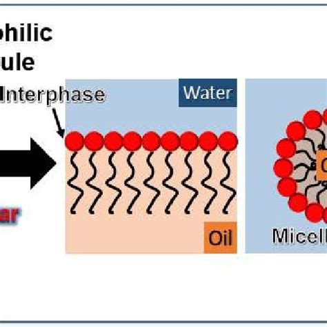 Most Common Copolymer Microstructures Alternating Copolymers Block Download Scientific