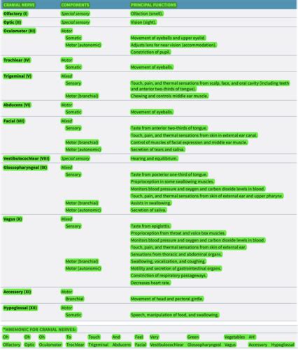 Chpt 14 Flashcards Quizlet