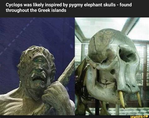 Cyclops Was Likely Inspired By Pygmy Elephant Skulls Found Throughout