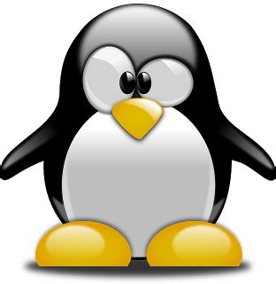 Introduction à Lenvironnement Gnu Linux Sti2d Sin Au Lycée L Rascol Albi