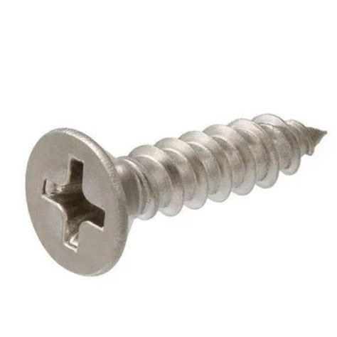 Stainless Steel 55mm Self Tapping Screw 42 Mm At ₹ 8piece In