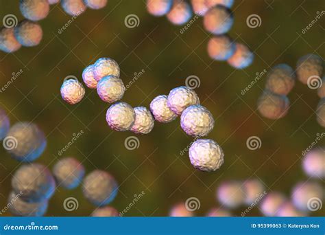 Streptococcus Pyogenes Image Cartoon Vector 136616415