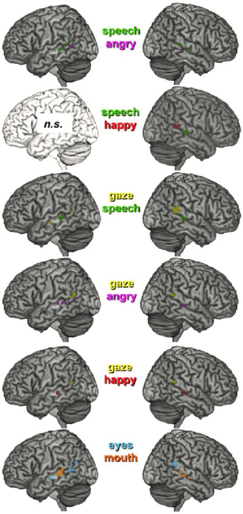 localization of clusters contributing most to the binary classification