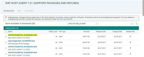 How To Check Sap Host Agent Version Coinblog