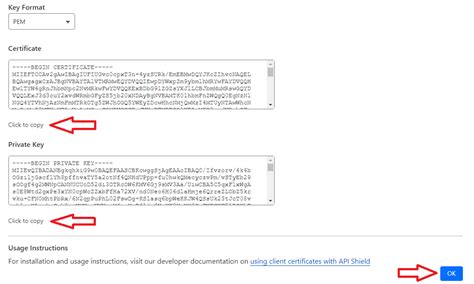Home Assistant App Through Cloudflare Tunnel With Auth Android Mobile Apps Home Assistant