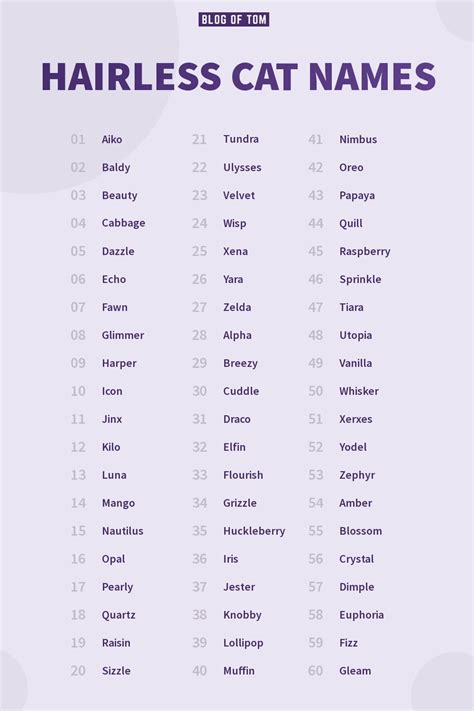 449 Hairless Cat Names Best Options Artofit