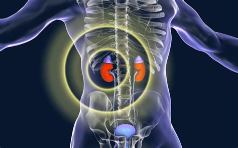 Adrenal Gland Tumor Symptoms Warning Signs To Recognize Scottsdale