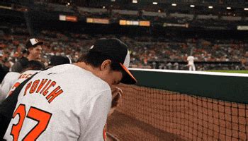 Baltimore Orioles S On Giphy Be Animated