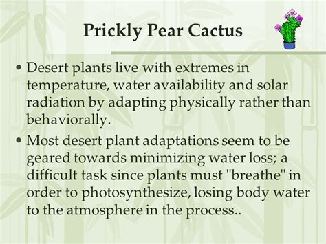 Plant Processes Chapter Ppt Download