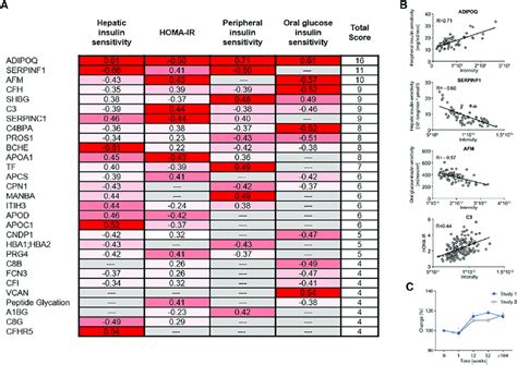 Correlation To Insulin Sensitivity Assessments A Correlation Of The