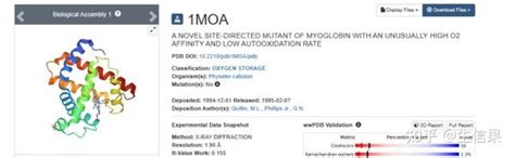小果震惊！利用pymol比对蛋白质三维结构原来如此简单！ 知乎