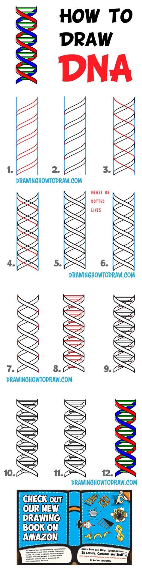 How To Draw DNA Double Helix Structure Easy Step By Step Drawing Tutorial How To Draw Step