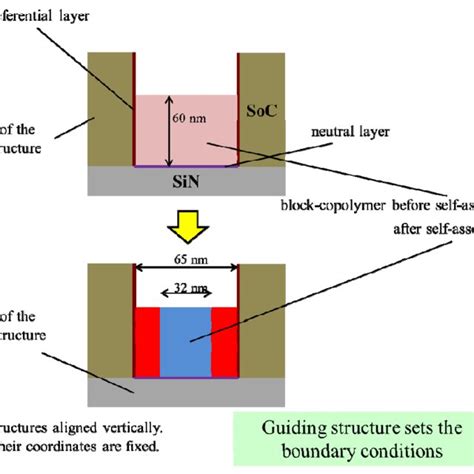 Block Copolymer Self Assembly Download Scientific Diagram