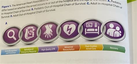 Bls Study Guide 2024 Essential Medicine Terms And Definitions Flashcards