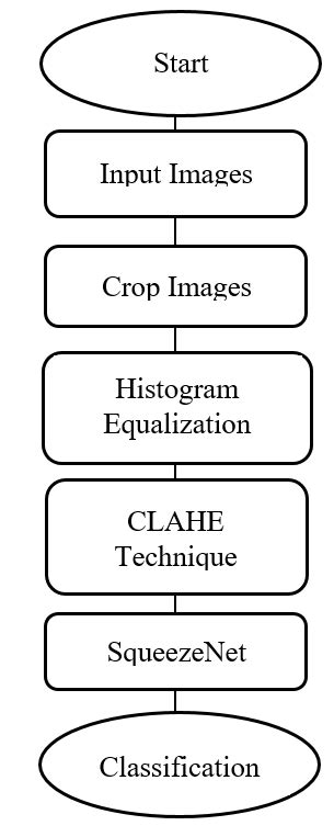 Flowchart Of Chest X Ray Abnormality Detection Download Scientific