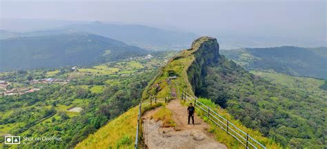 Sriteja Parimi Medium