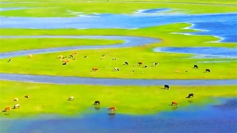 新思想引领新征程丨扎实推进生态文明建设 绘就美丽中国更新画卷 北京时间