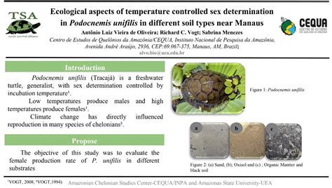 Ecological Aspects Of Temperature Controlled Sex Determination In Podo