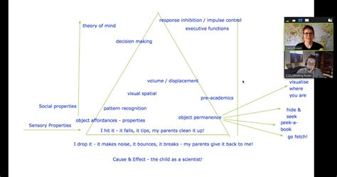 The Little Scientist Progression Of Cause And Effect Play Affect