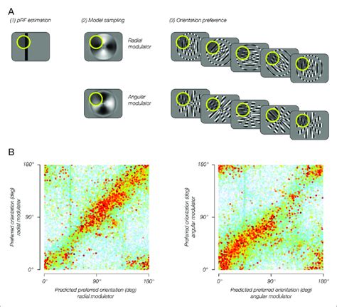 Combining The Model With Prf Estimates Enables Reliable Predictions Of