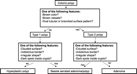 Wasp Classification Adapted From Ijspeert Et Al Permission Granted By Download Scientific Wasp Classification Adapted From Ijspeert Et Al Permission Granted By Download Scientific