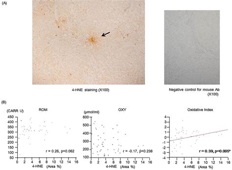 Figure1the Correlations Between Hepatic 4 Hne Staining And Serum Rom