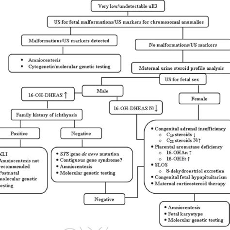 Pdf X Linked Ichthyosis Differential Diagnosis Of Low Maternal Oestriol Level