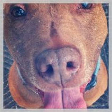 Stream Beth Addison 1 Music Listen To Songs Albums Playlists For Free On Soundcloud