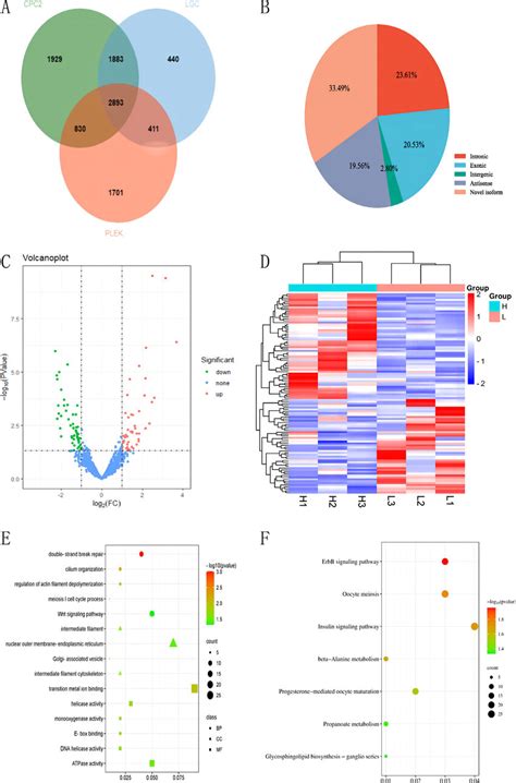 Identification And Bioinformation Analysis Of Lncrnas A The Numbers Download Scientific