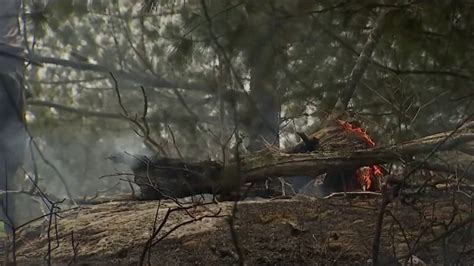 Brush Fires Spark Amid Dry Windy Conditions In Mass Friday Nbc Boston