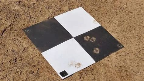 Gcp Ground Control Point Or Dgps Control Points Fixing Service