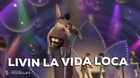  De Burro De Shrek Estoy Completamente Solo