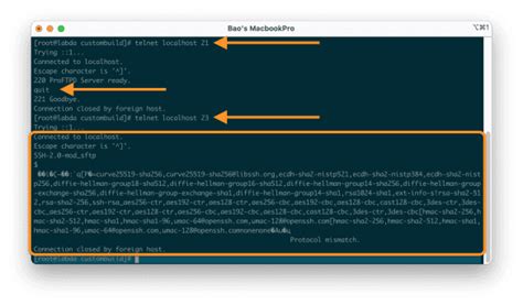 [4 bước] cài đặt mod sftp vào proftpd dùng directadmin