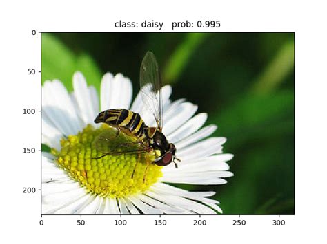 Onnx模型推理 Csdn博客