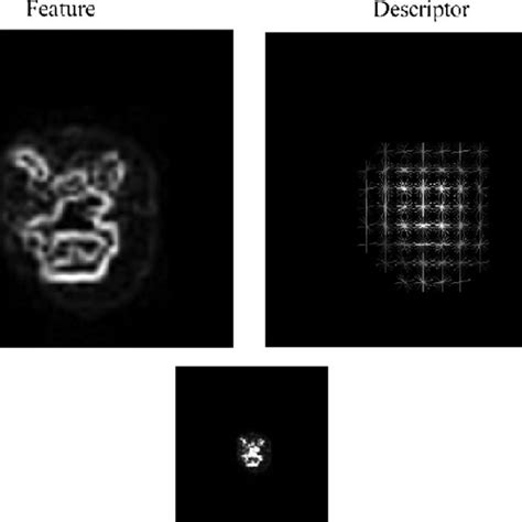 Gabor Features Visualization Left Output Feature Maps And Right