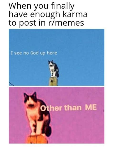 Finally!! : r/memes