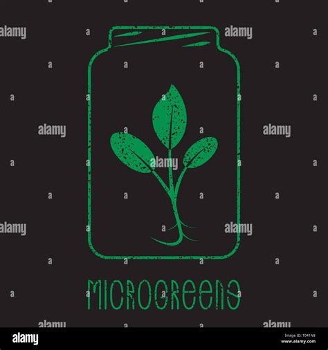 Microgreens Logo Plant In A Glass Jar Grunge Effect Black Background